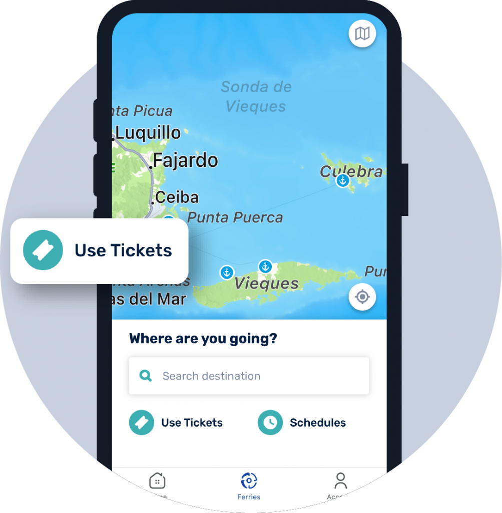 Application Guide - Puerto Rico Ferry at anchor by Hornblower